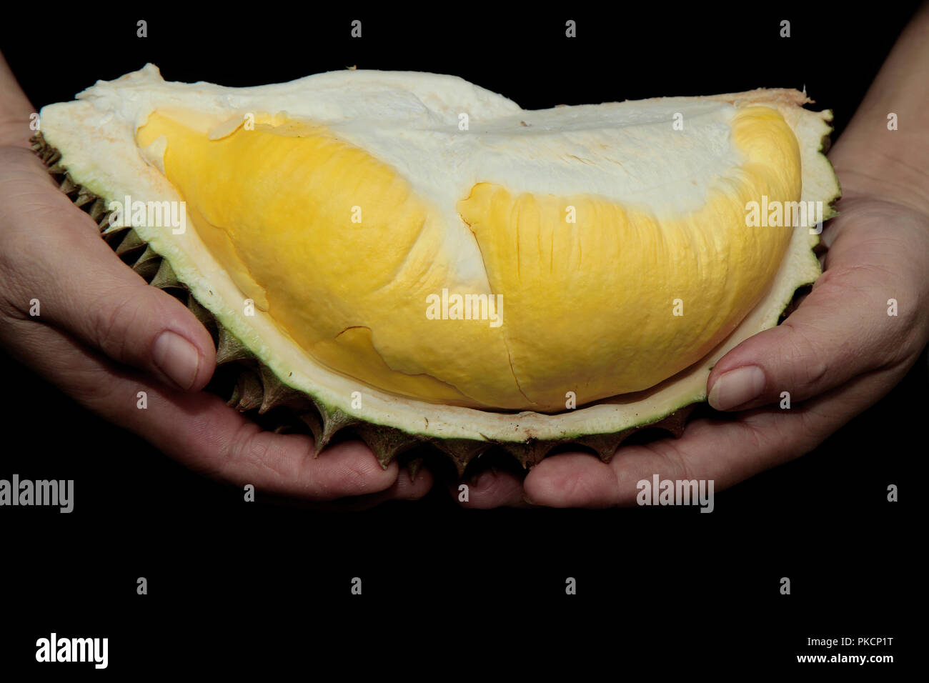 The best Thailand of Durian ,Ready served of ripe KanYaw Durian ,Lond ...