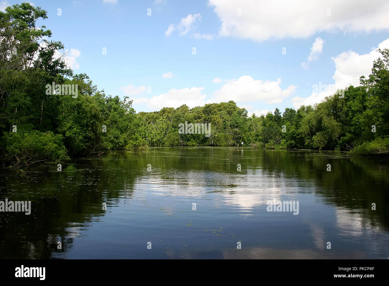 Louisiana Bayou Airboat High Resolution Stock Photography and Images ...
