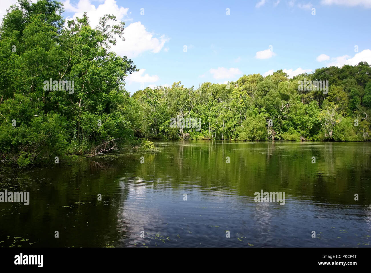 Louisiana bayou airboat hi-res stock photography and images - Alamy