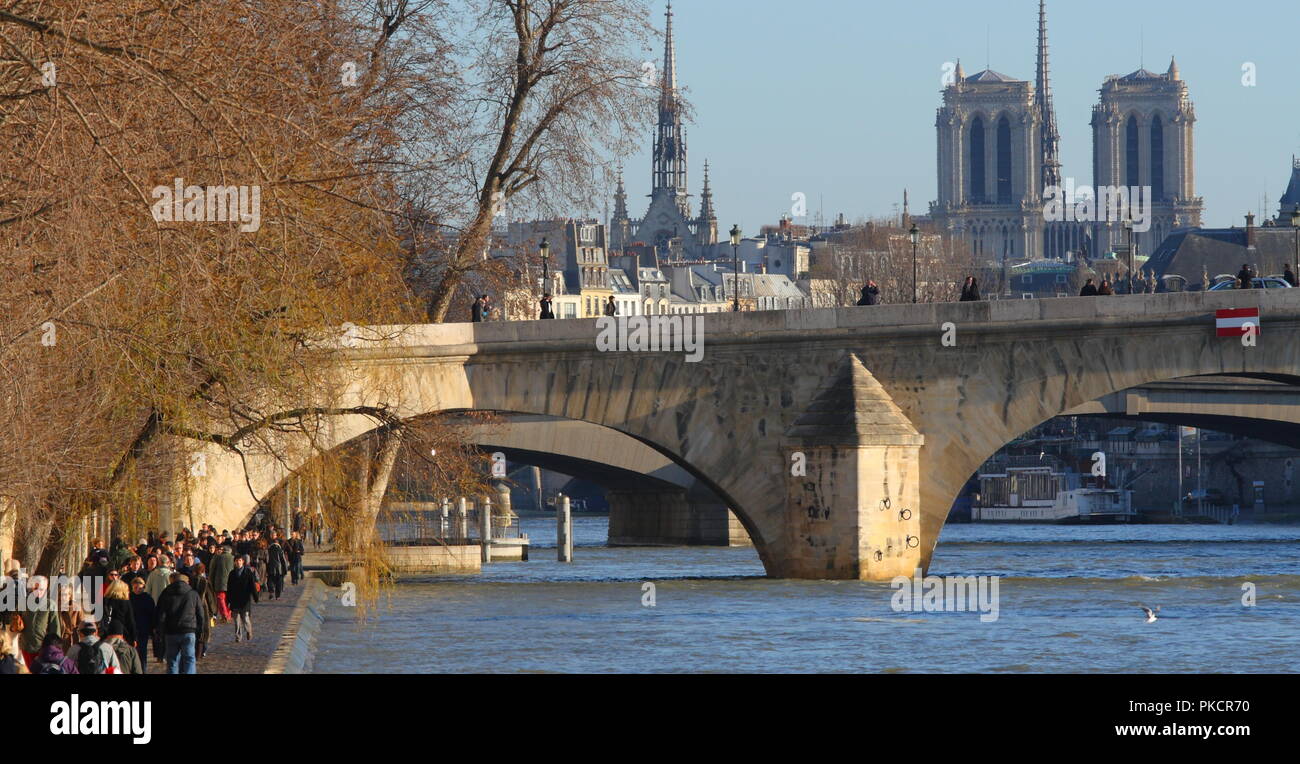 Seine river in Paris Stock Photo - Alamy