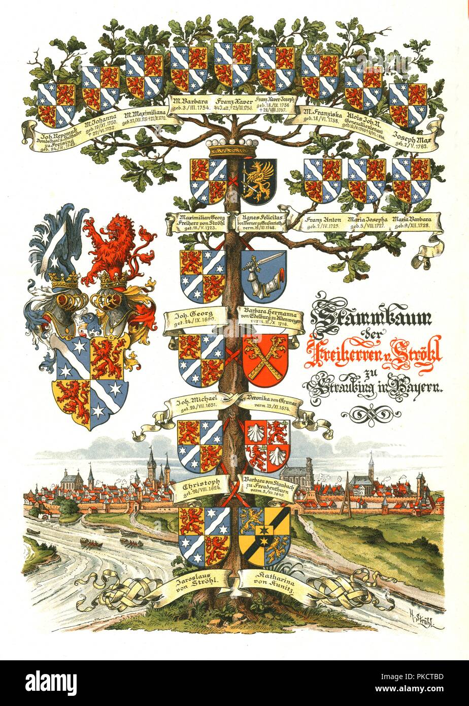 Heraldry family tree hi-res stock photography and images - Alamy