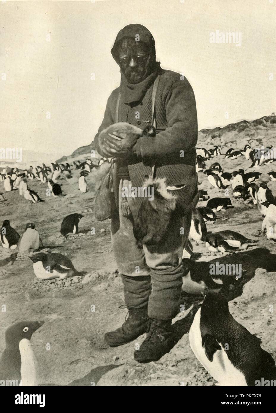 Henry Murray Stock Photos & Henry Murray Stock Images - Alamy