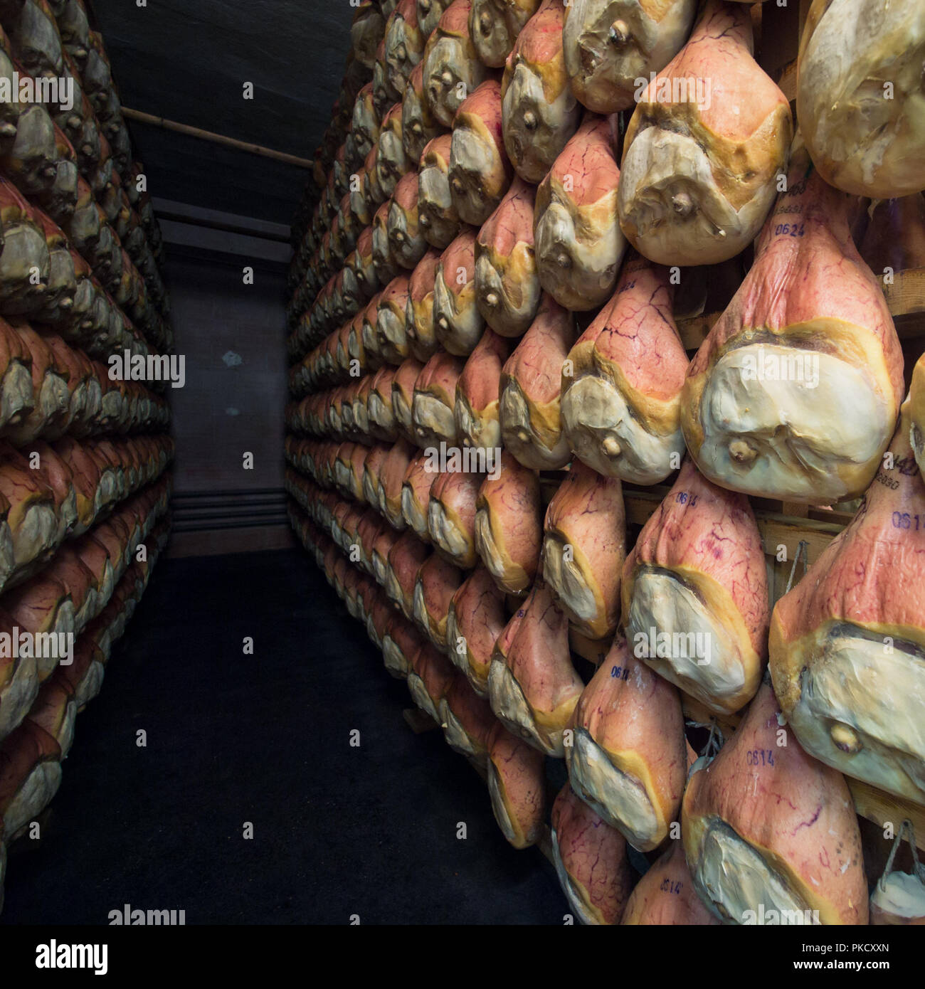 Thighs of ham during the curing process hanging in a cellar Stock Photo ...