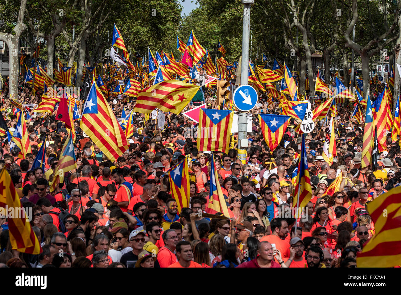 Million people protest against imprisoned politicians on their national ...