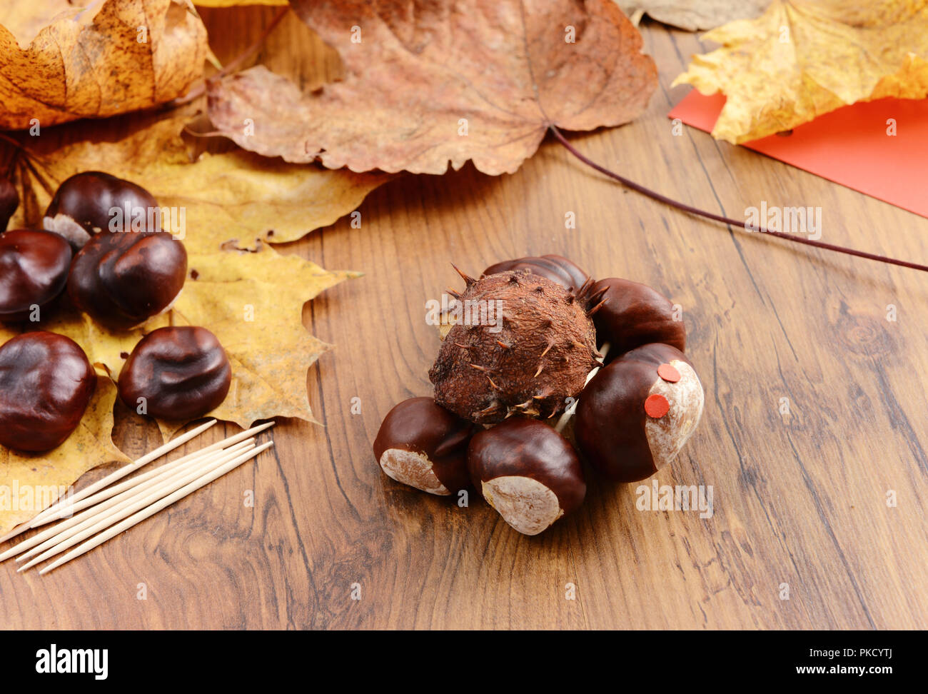 autumn tinker creative figures of Chestnuts like Caterpillar and turtle ...