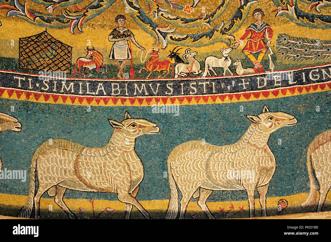 Sheep In Ancient Rome Ancient Roman Animals | Animals In Rome Maria