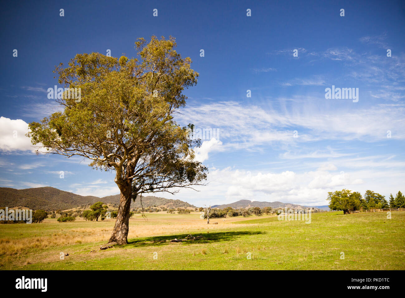 Allans Flat Landscape Australia Stock Photo - Alamy