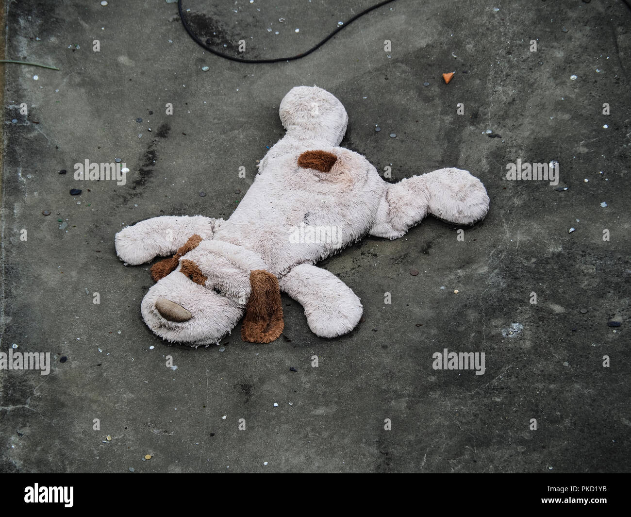 Lost dog toy hi-res stock photography and images - Alamy