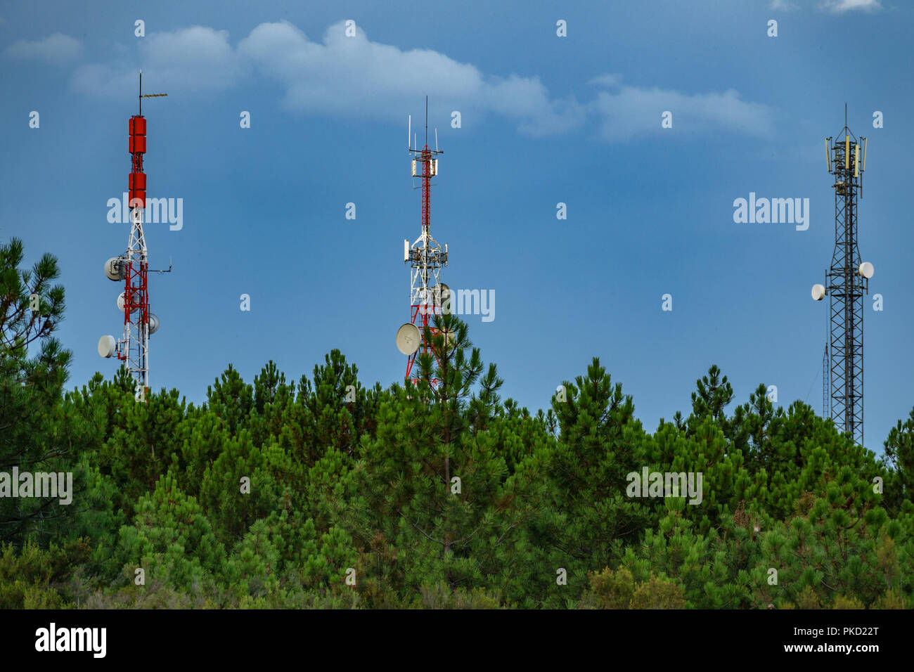 Tree communication hi-res stock photography and images - Alamy