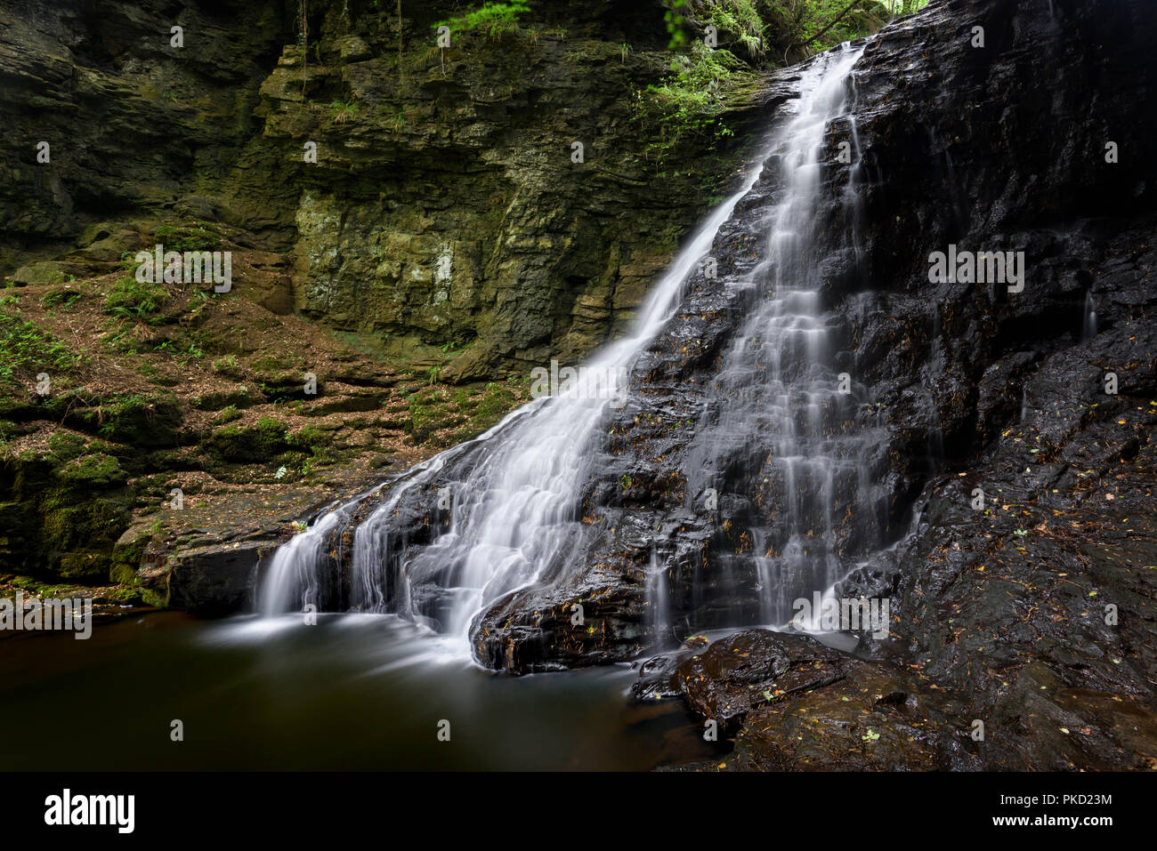 Hareshaw linn northumberland waterfall hi-res stock photography and ...