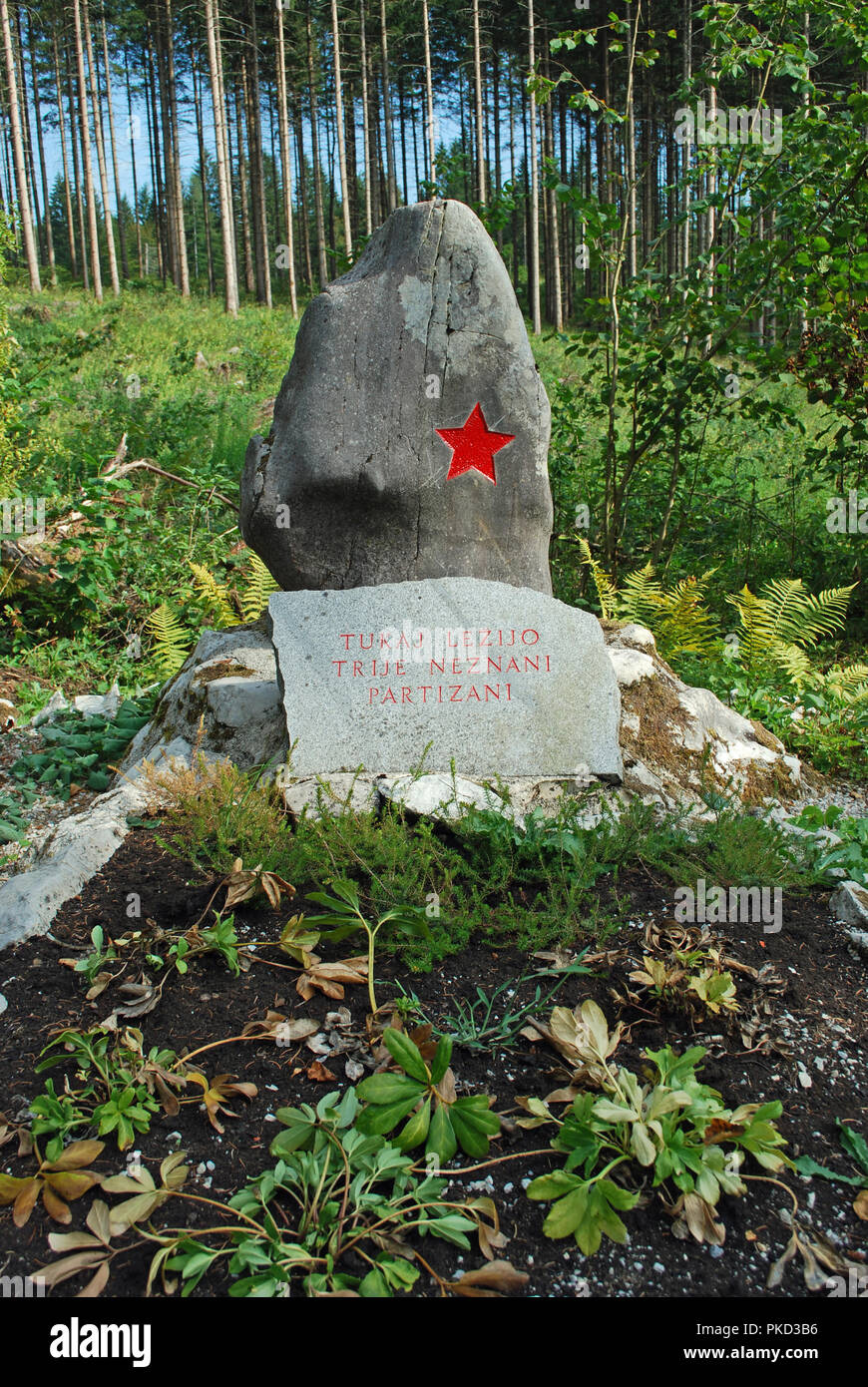 The second world war grave of an unknown Yugoslav Partisan killed in ...