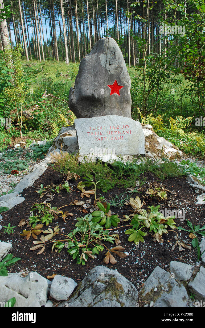The second world war grave of an unknown Yugoslav Partisan killed in ...