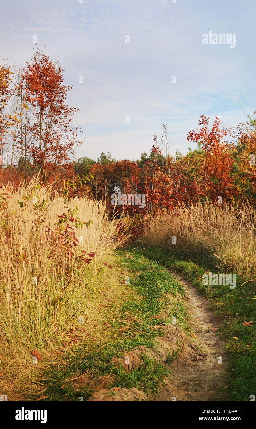 Green yellow orange landscape hi-res stock photography and images - Alamy