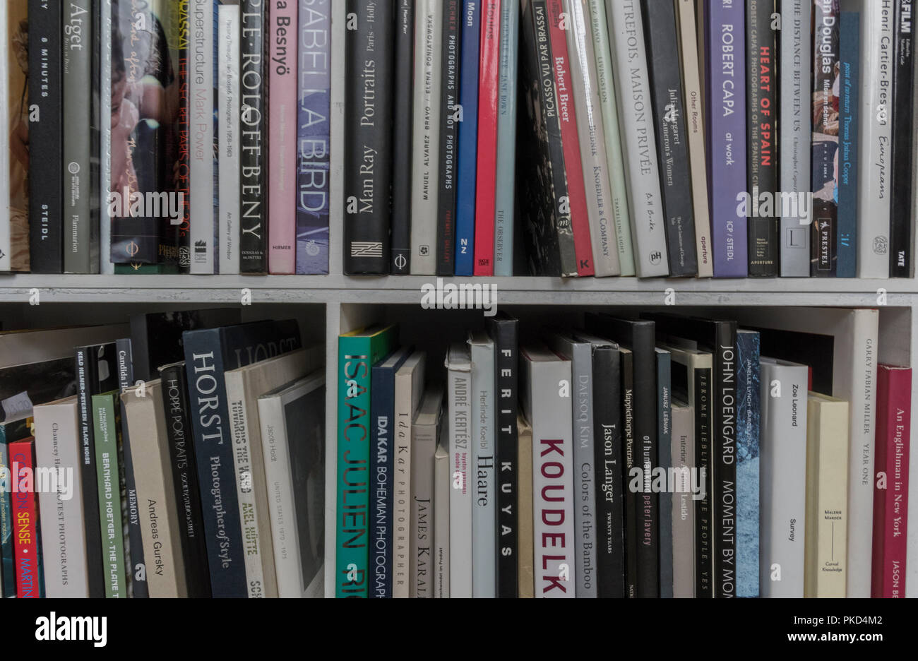 a selection of books on art and photography in a library on a bookshelf ...