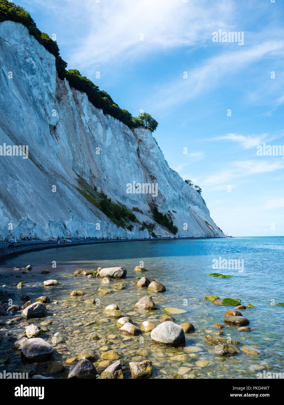 Møns Klint, Famous Chalk Cliffs, Island of Mons, Denmark, Europe Stock ...