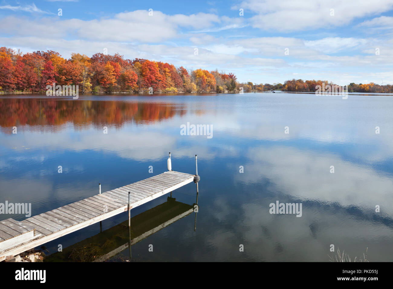 Calm Minnesota lake with a dock and trees in full autumn color under ...