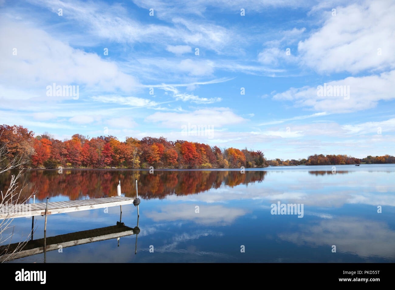 Calm Minnesota lake with a dock and trees in full autumn color under ...
