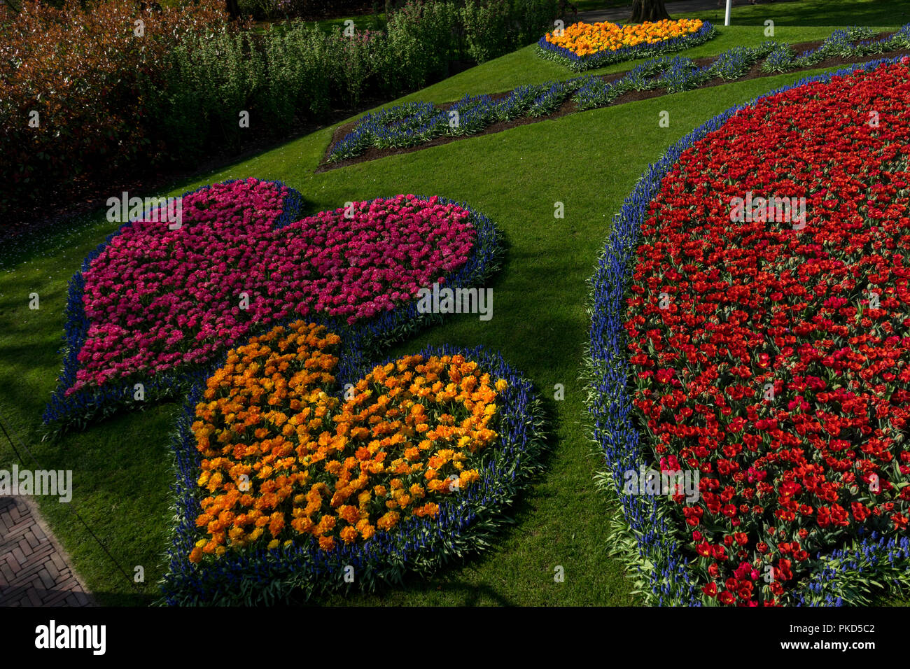 Netherlands,Lisse,Europe, VIEW OF FLOWERING PLANTS IN GARDEN Stock ...