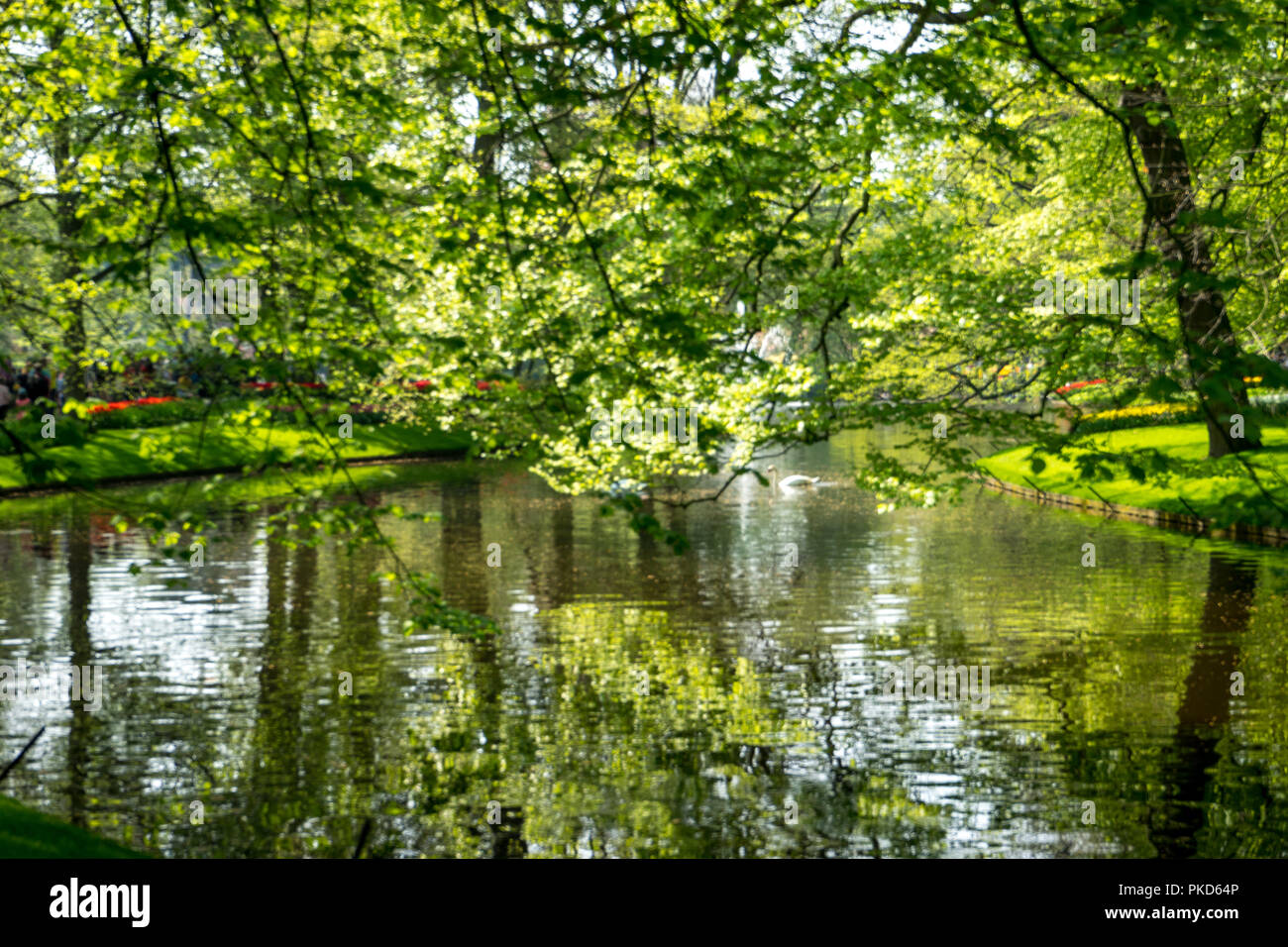 Urban landscape water body surrounded hi-res stock photography and ...