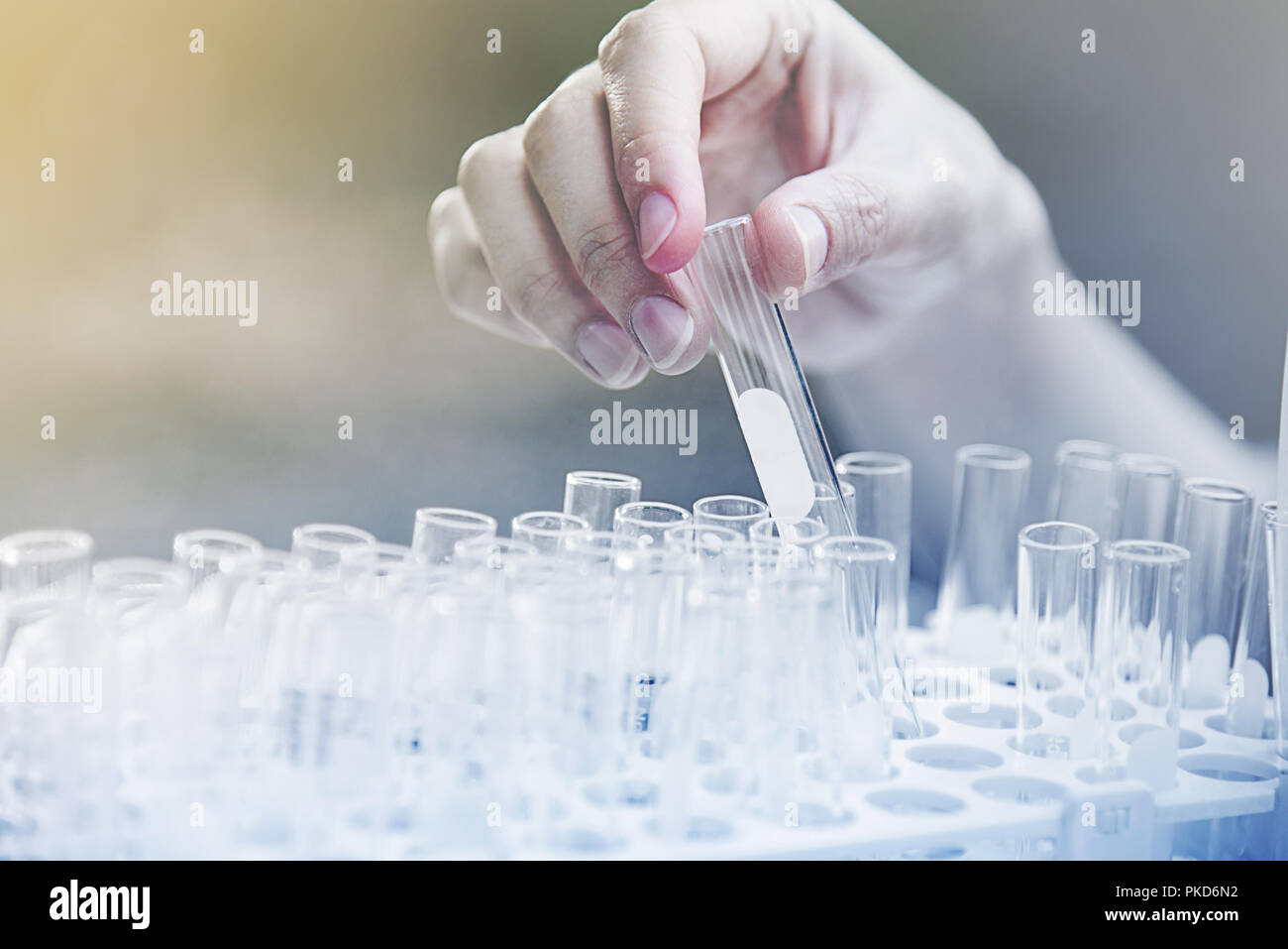 Lab science research glass items adding drop to one of several test ...