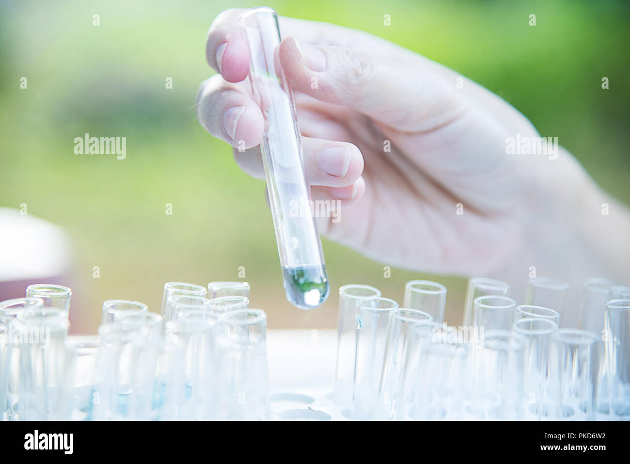 Lab science research glass items adding drop to one of several test ...