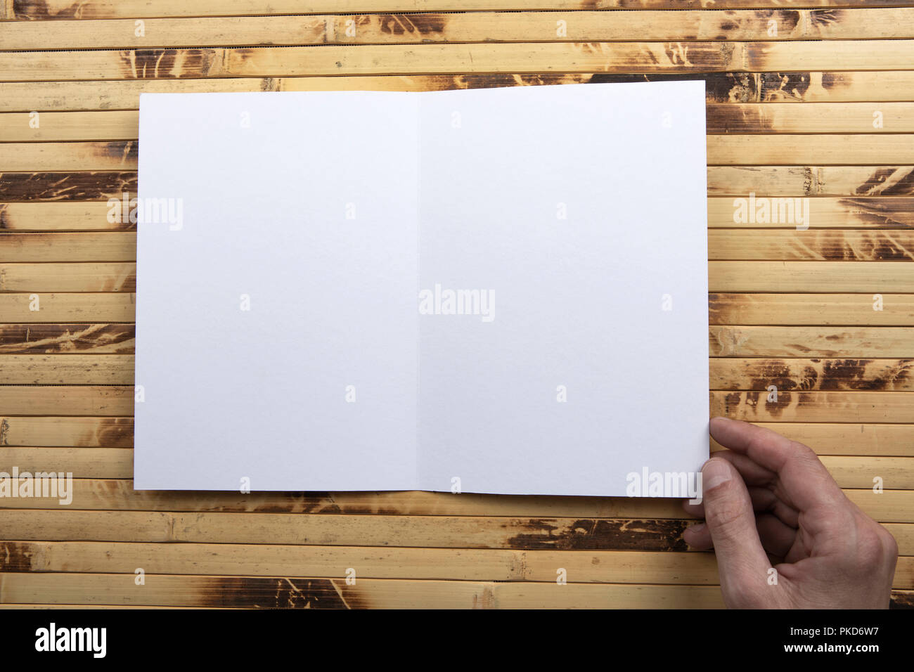 Mens hand holding empty white booklet on bamboo background. View from ...