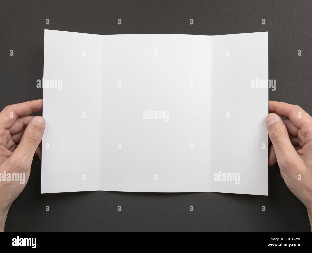 Mens hands holding empty white booklet on gray background. View from ...