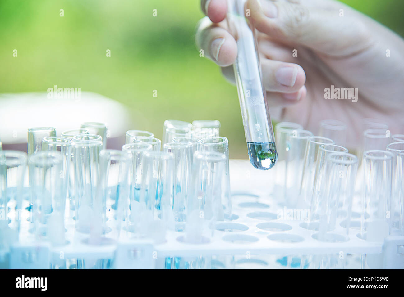 Lab science research glass items adding drop to one of several test ...