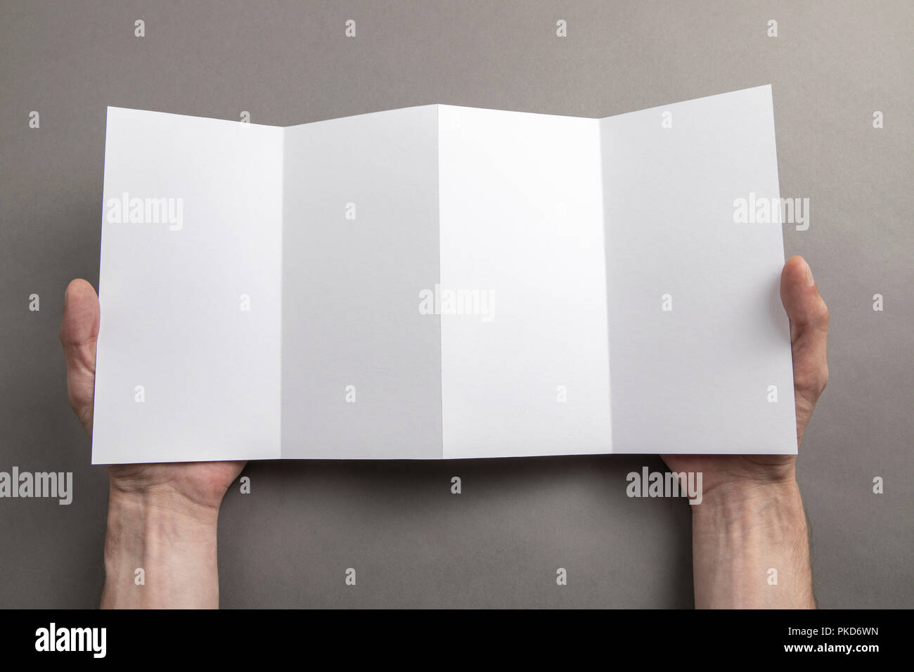 Mens hands holding empty white booklet on gray background. View from ...