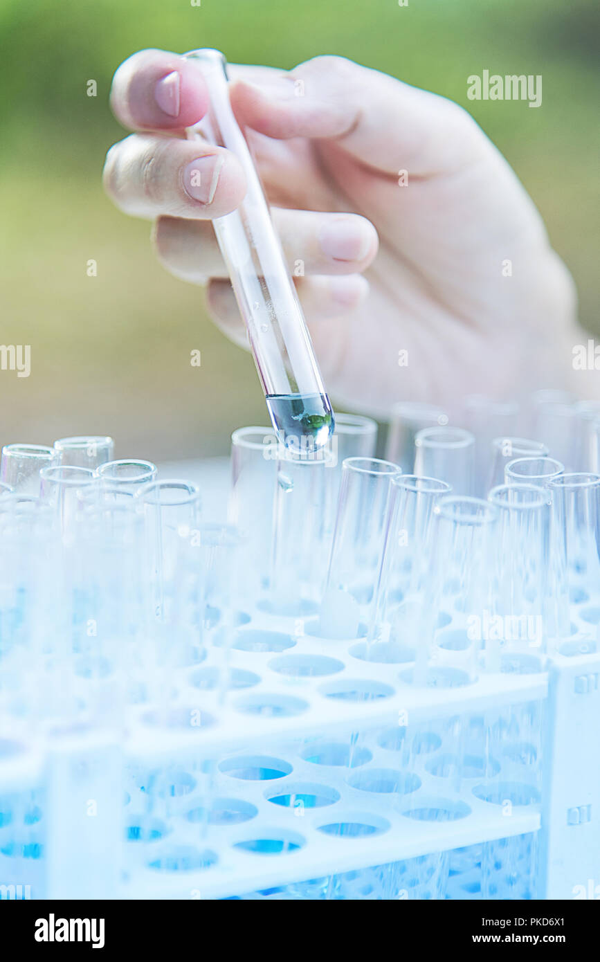 Lab science research glass items adding drop to one of several test ...