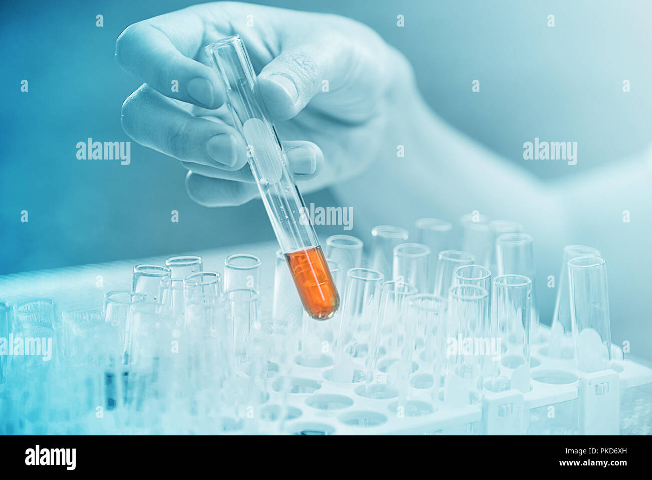 Lab science research glass items adding drop to one of several test ...