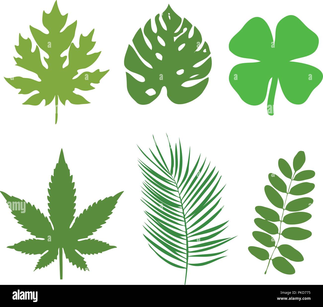 Leaf Vector