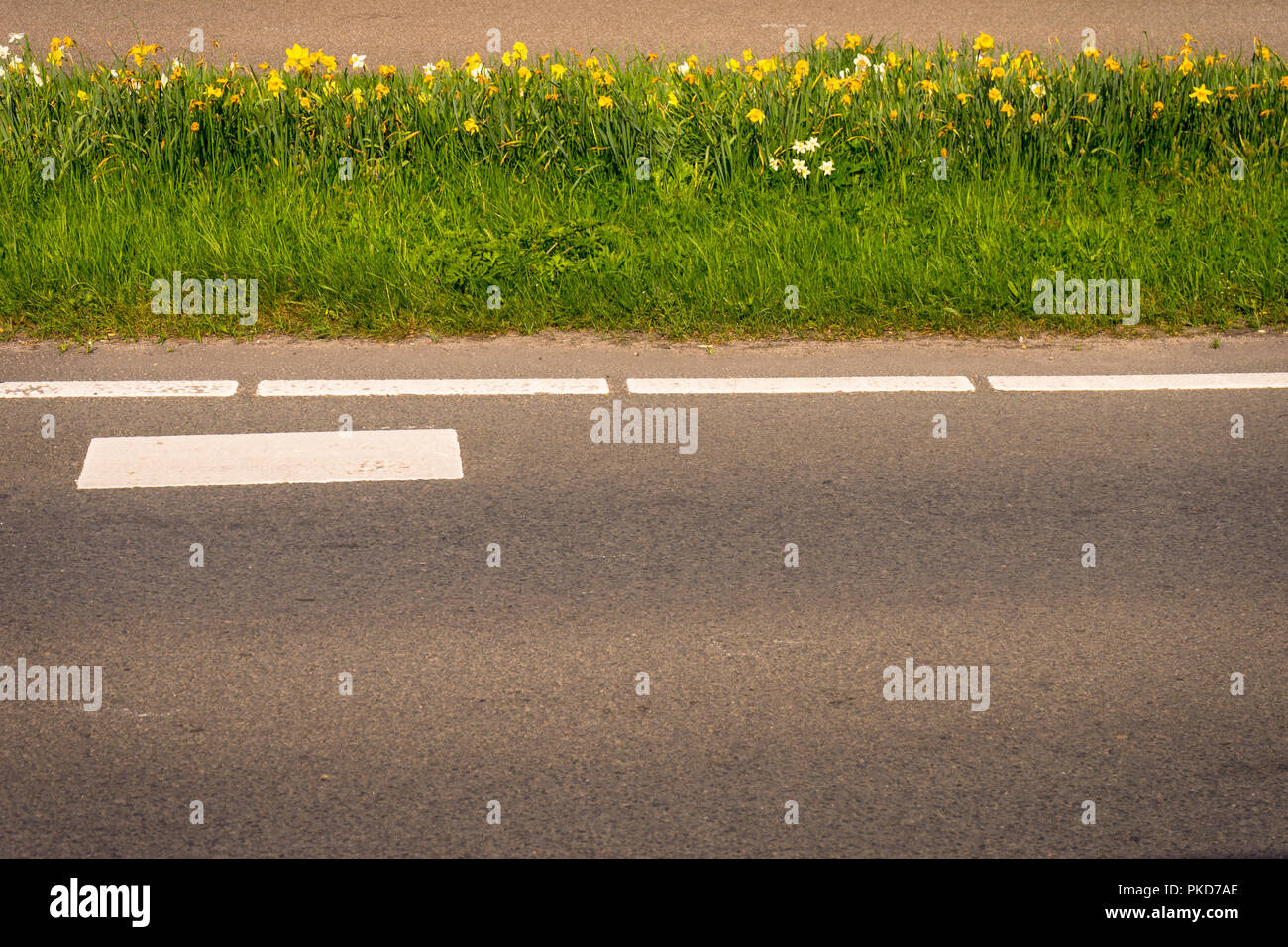 Netherlands,Lisse,Europe, a yellow fire hydrant sitting on the side of ...