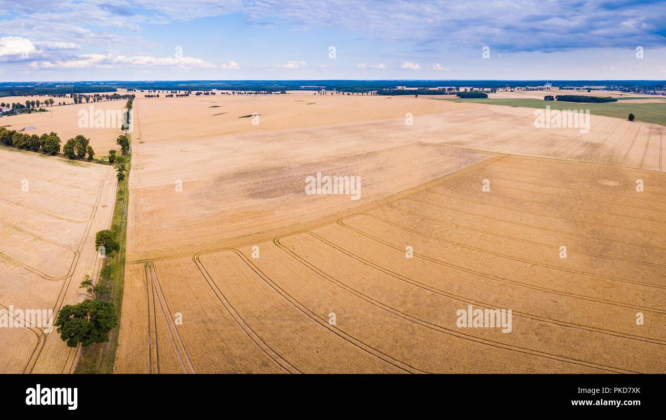 Beautiful summer fields from above. Drone photography of summer polish ...