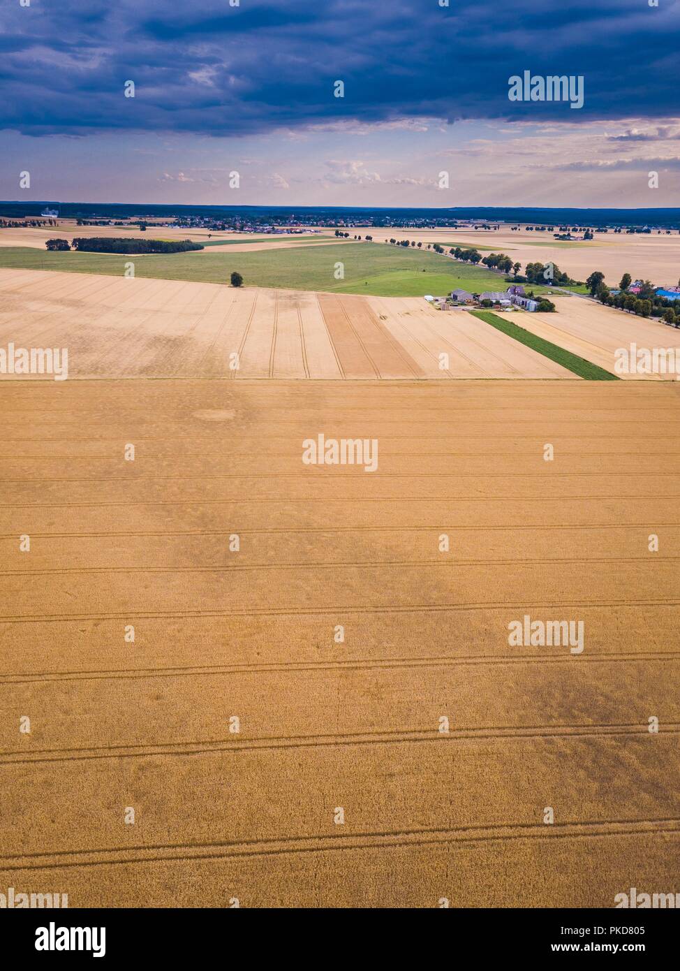 Beautiful summer fields from above. Drone photography of summer polish ...