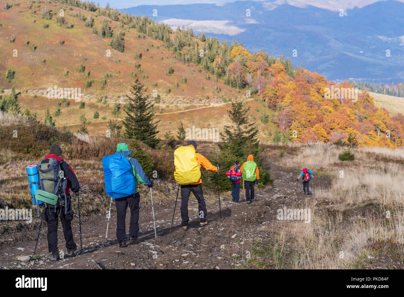 Group of tourists are trekking in the mountain Stock Photo - Alamy