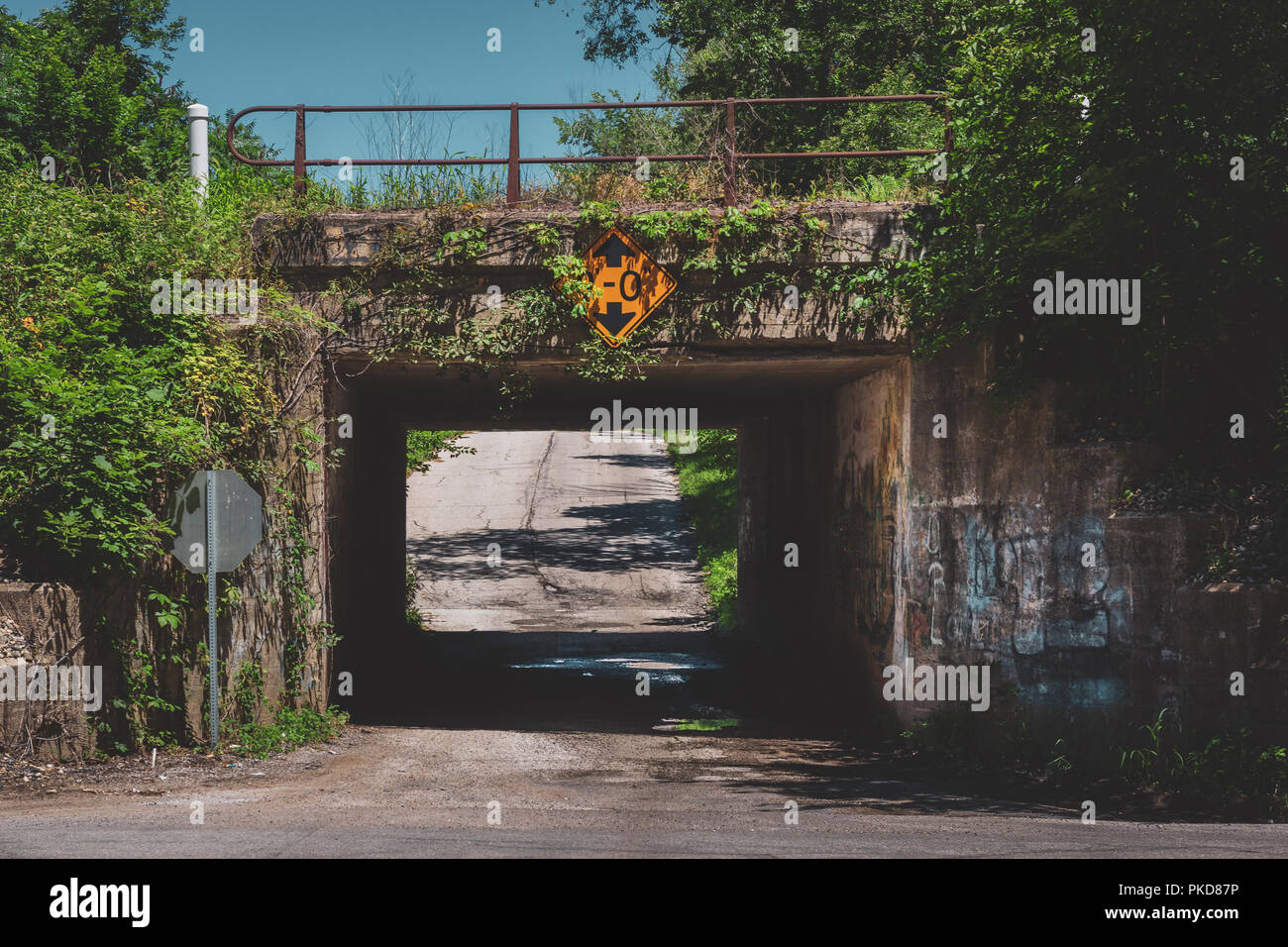 Old and narrow railroad underpass covered with graffiti and ivy leaves ...