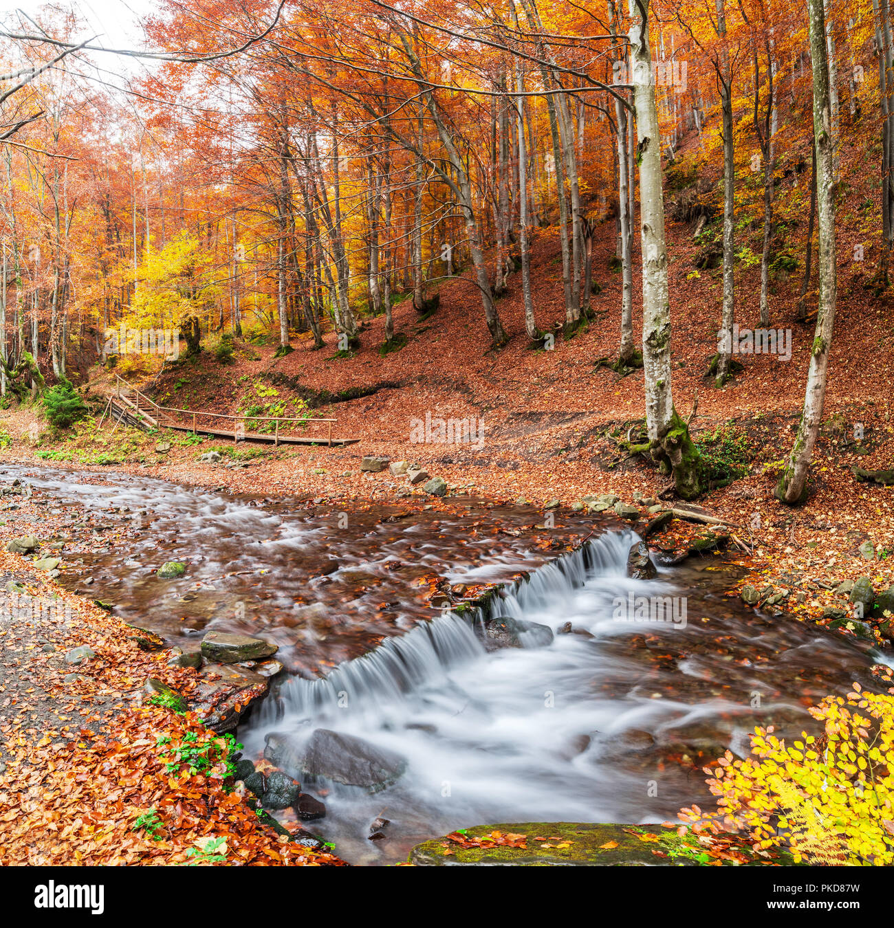 Stream and autumn landscape hi-res stock photography and images - Alamy