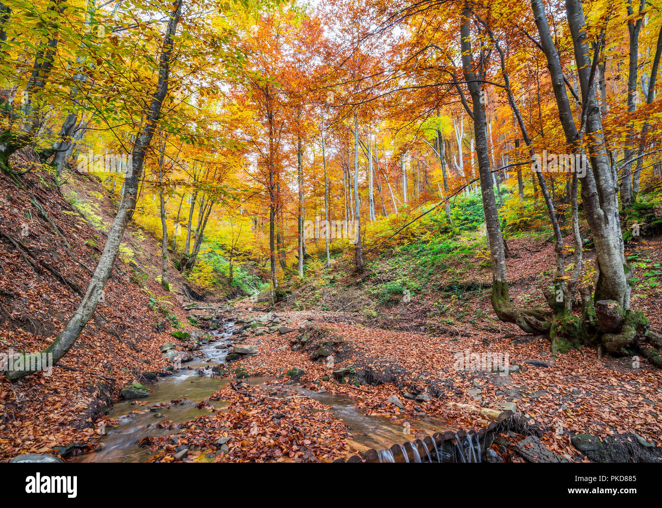 Stream and autumn landscape hi-res stock photography and images - Alamy
