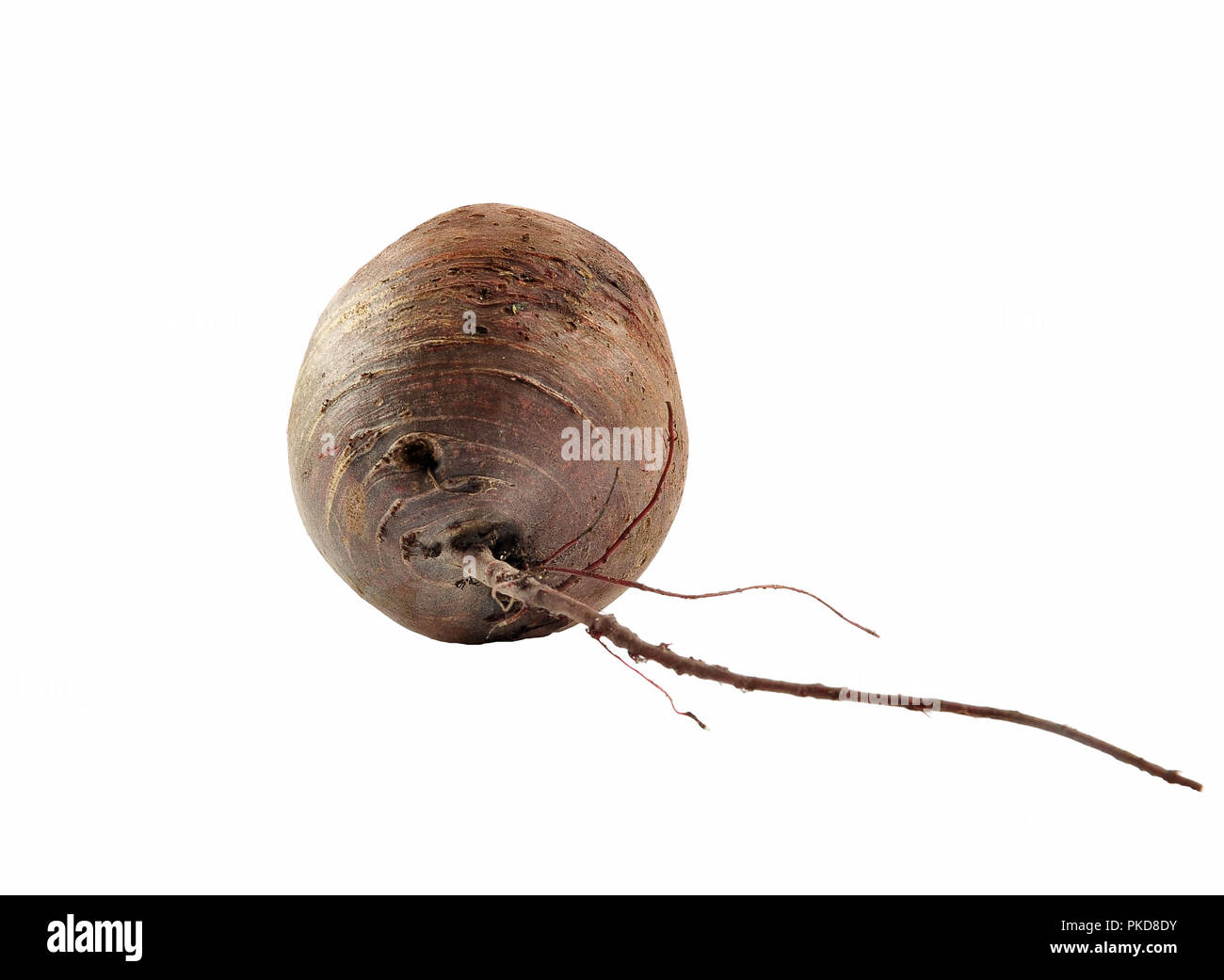 Beet fruit on white background Stock Photo - Alamy
