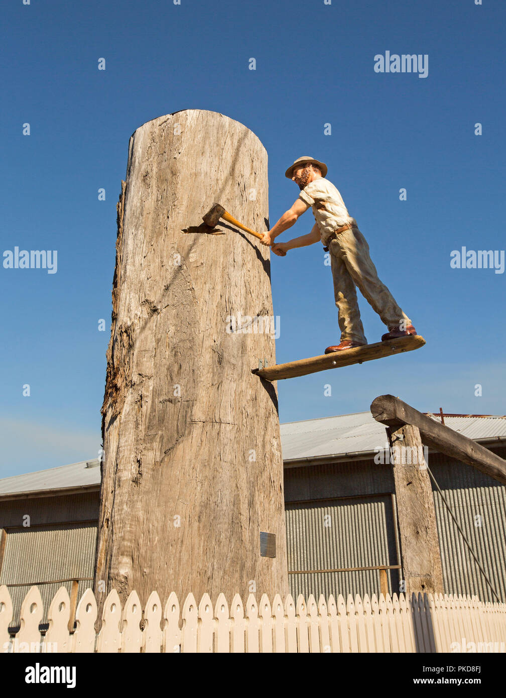 Historic replica of Australian timber cutter standing on high plank ...