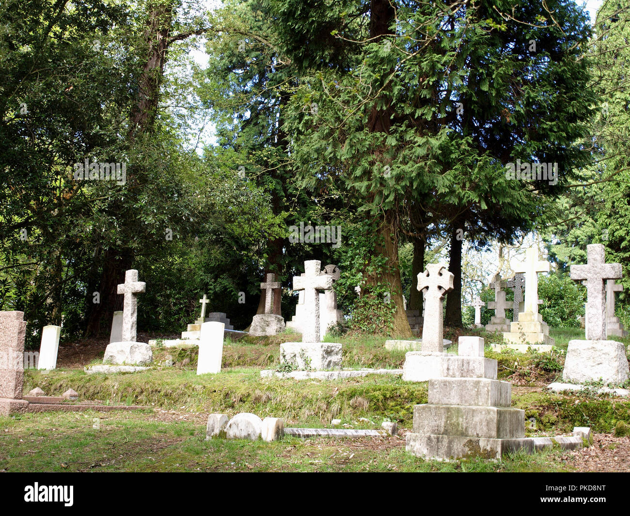 Commonwealth War Graves cemetery at Royal Victoria Country Park, Netley ...