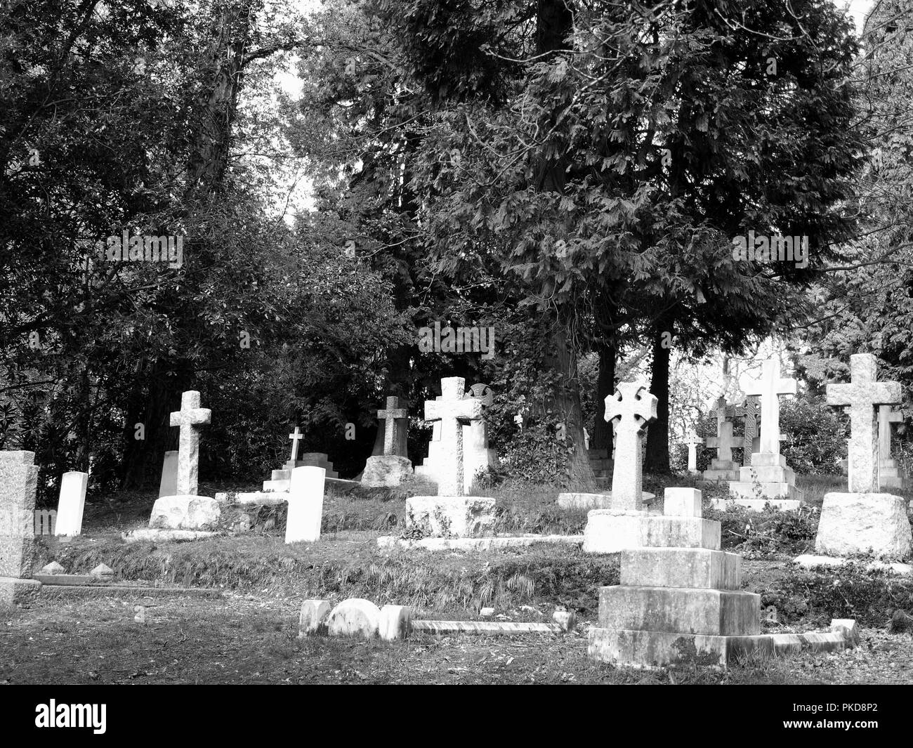 Commonwealth War Graves cemetery at Royal Victoria Country Park, Netley ...