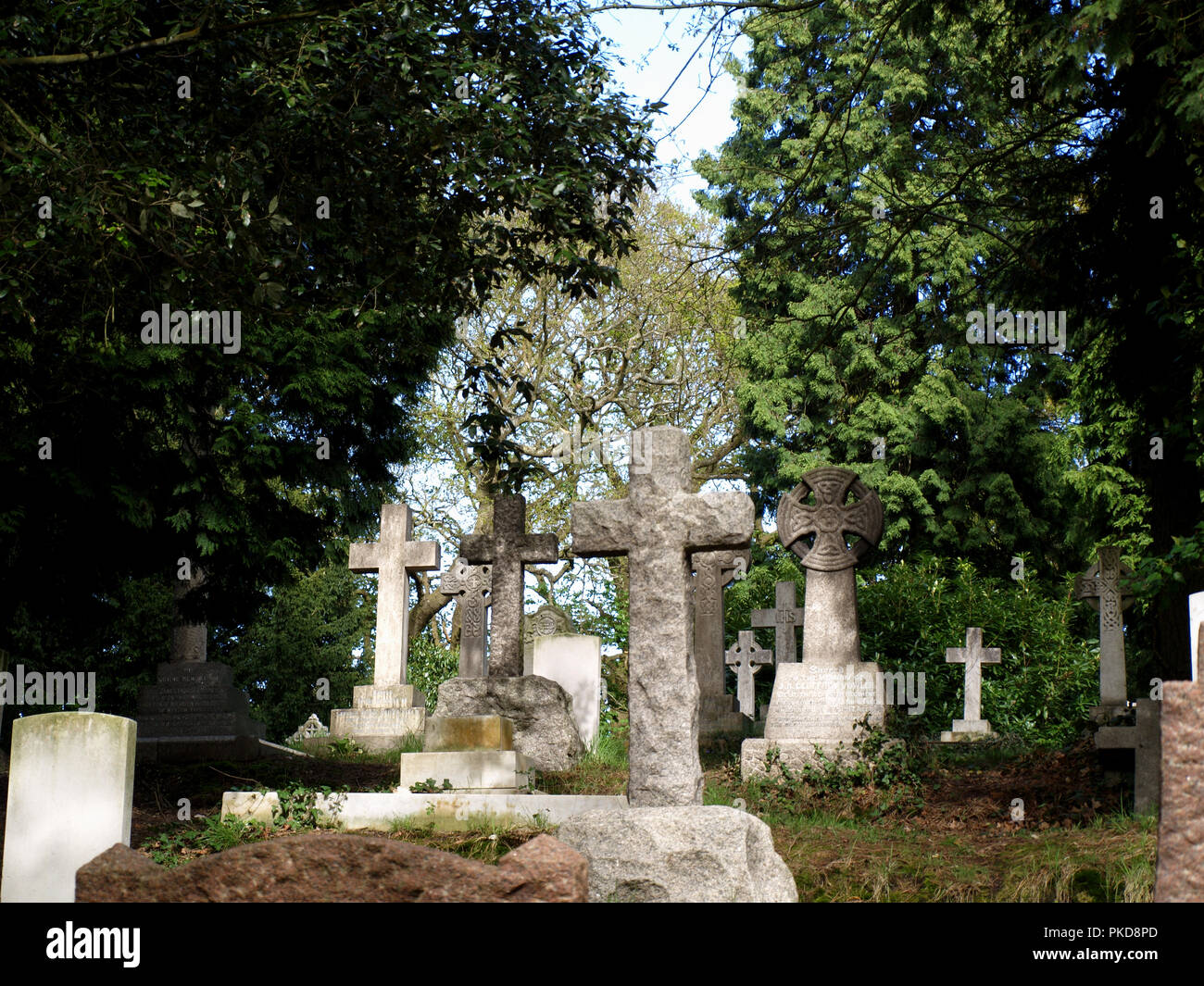 Commonwealth War Graves cemetery at Royal Victoria Country Park, Netley ...