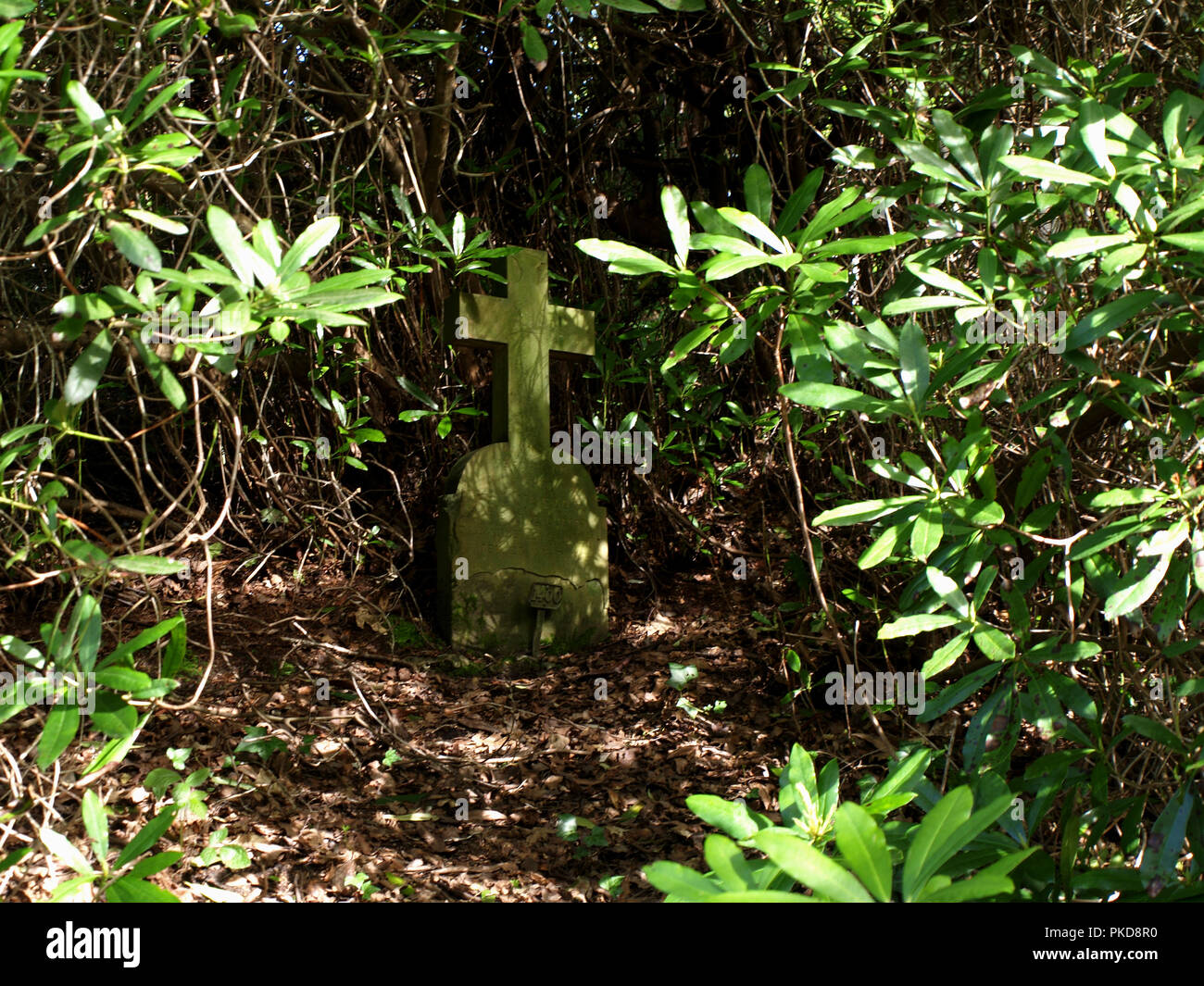 Commonwealth War Graves cemetery at Royal Victoria Country Park, Netley ...