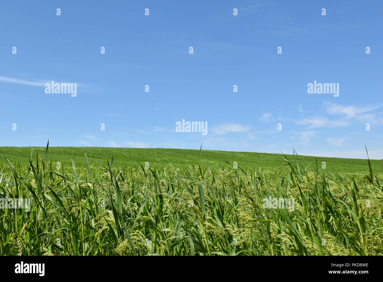 Expanse of the sky hi-res stock photography and images - Alamy