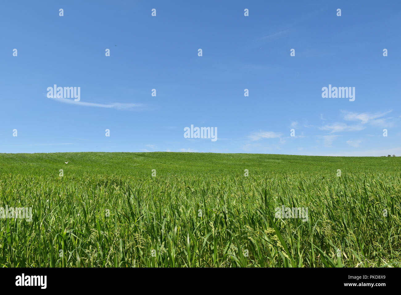 Expanse of the sky hi-res stock photography and images - Alamy