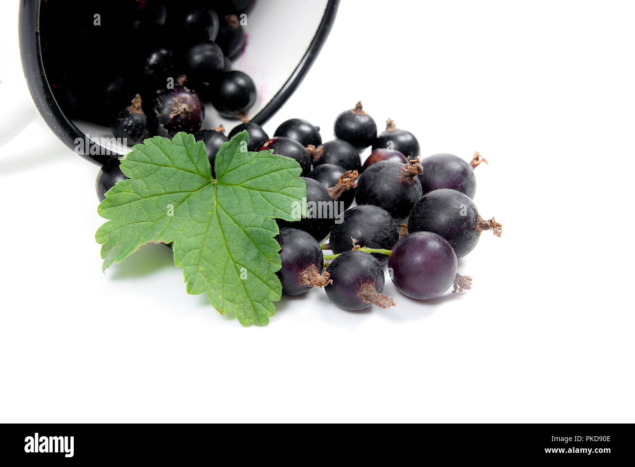Close up view of white cup with black currant berry isolated on white ...