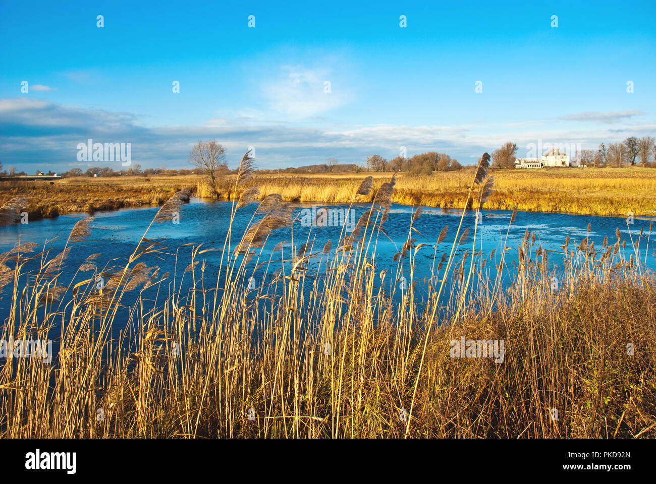 Field pond hi-res stock photography and images - Alamy