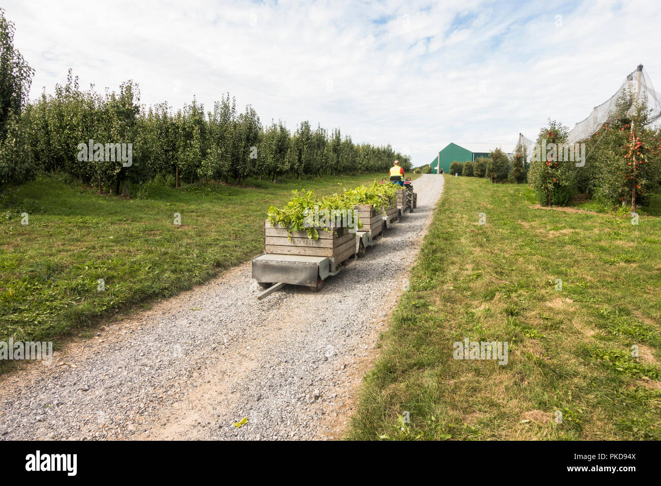 Cultivation boxes hi-res stock photography and images - Alamy